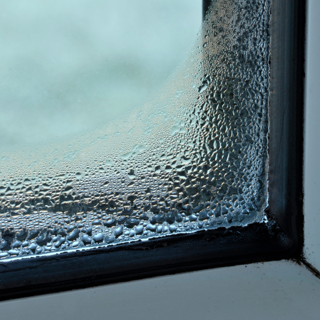 Signs Your Windows Need Replacing